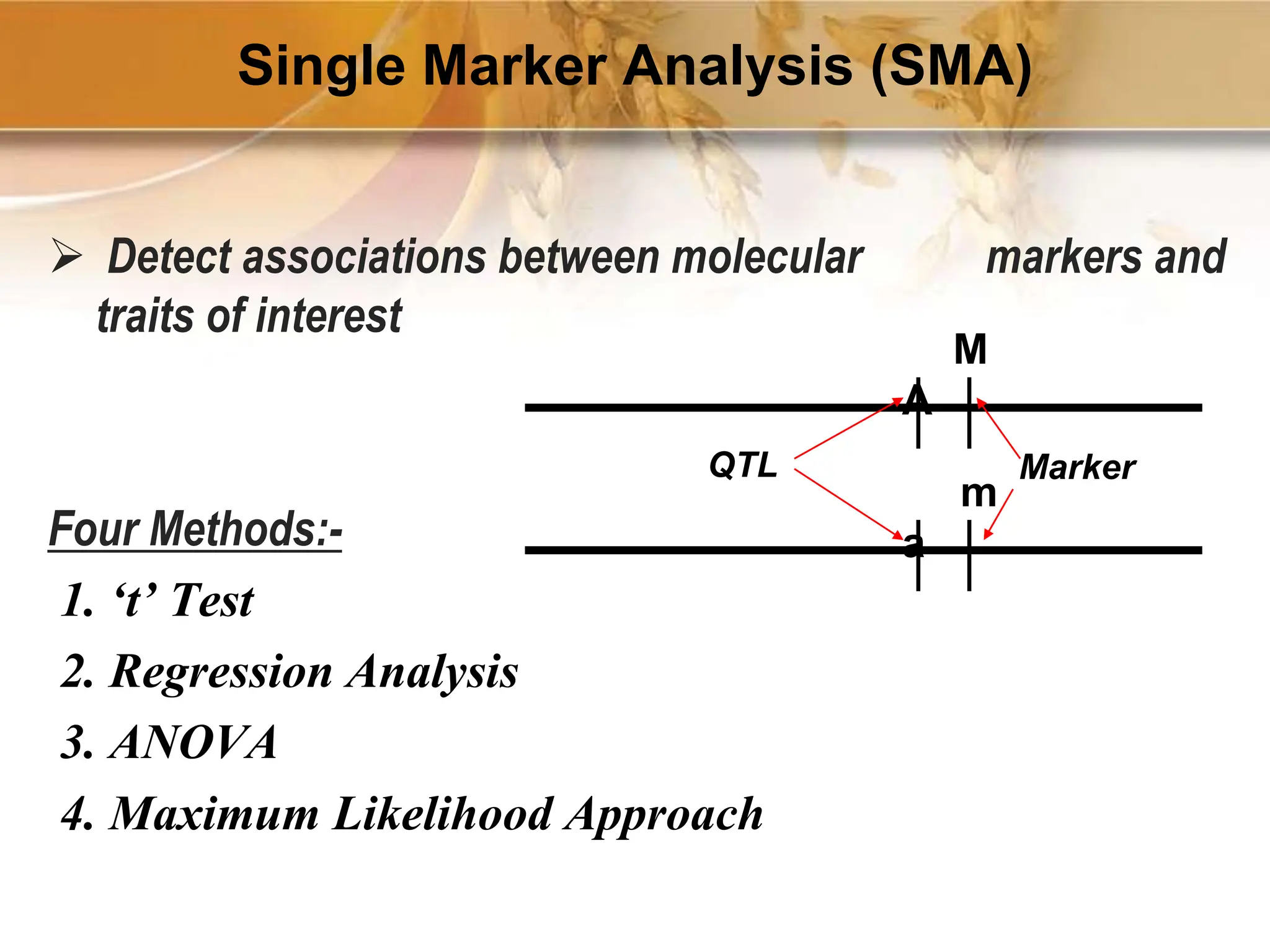 Basic_QTL_Marker-assisted_Selection_Sourabh.ppt