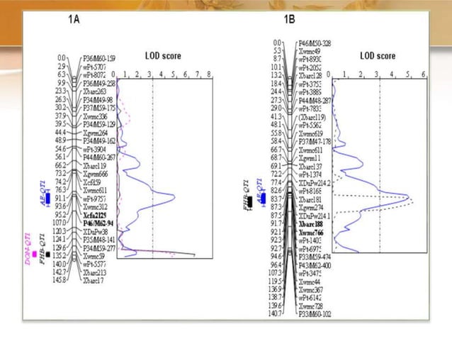 Basic_QTL_Marker-assisted_Selection_Sourabh.ppt