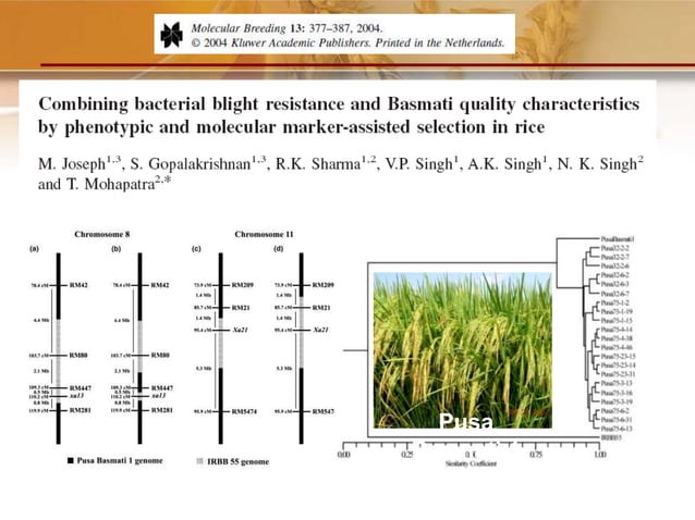 Basic_QTL_Marker-assisted_Selection_Sourabh.ppt