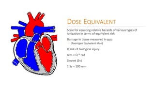 Basic Radiation Safety Awareness Training | PDF