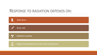 Basic Radiation Safety Awareness Training | PDF