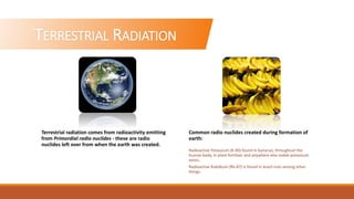 Basic Radiation Safety Awareness Training | PDF