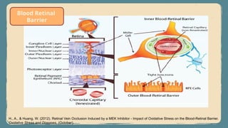 basic reading blood ocular barrier ocular | PPTX