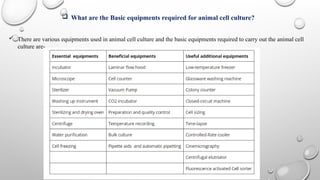 Basic Requirements of Animal Cell Culture.pptx
