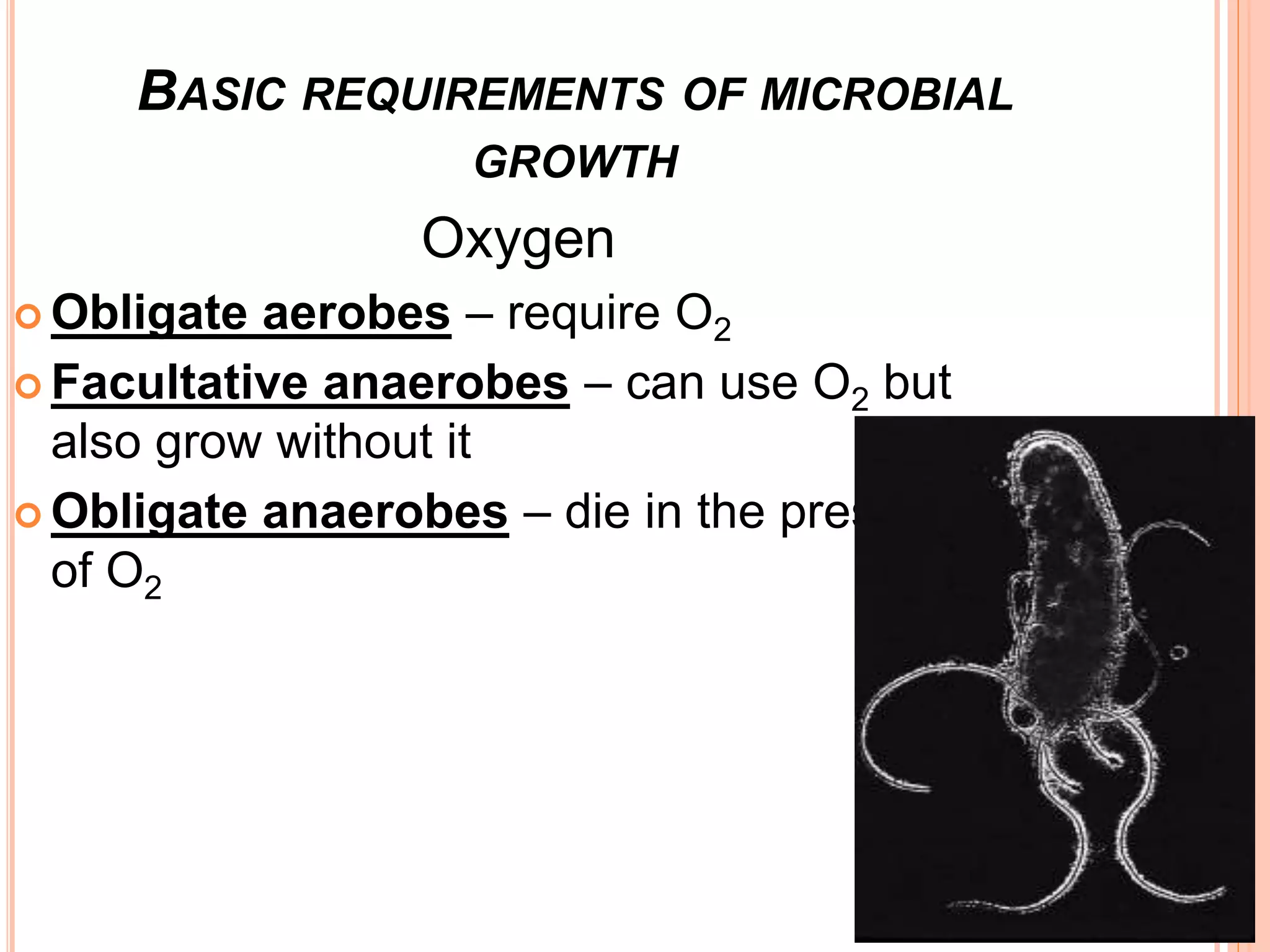 Basic requirements of microbial growth | PPTX
