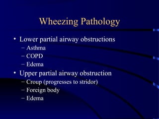 Basic respirations | PPT