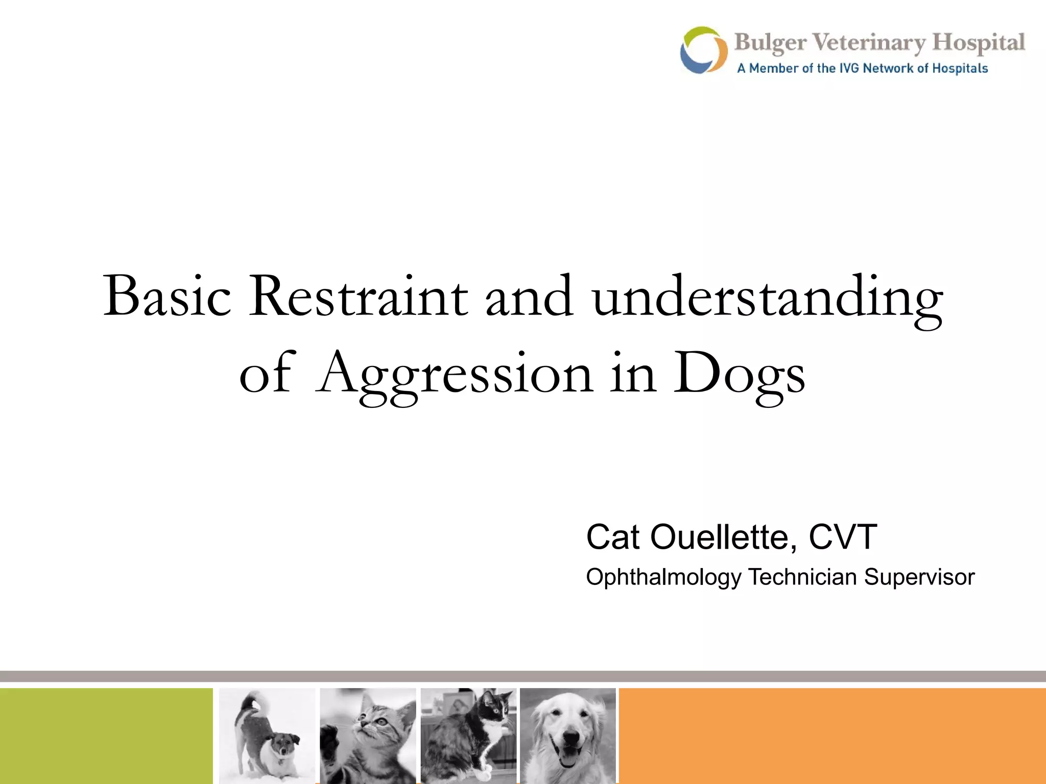 Basic Restraint and Understanding of Aggression in Dogs | PPT