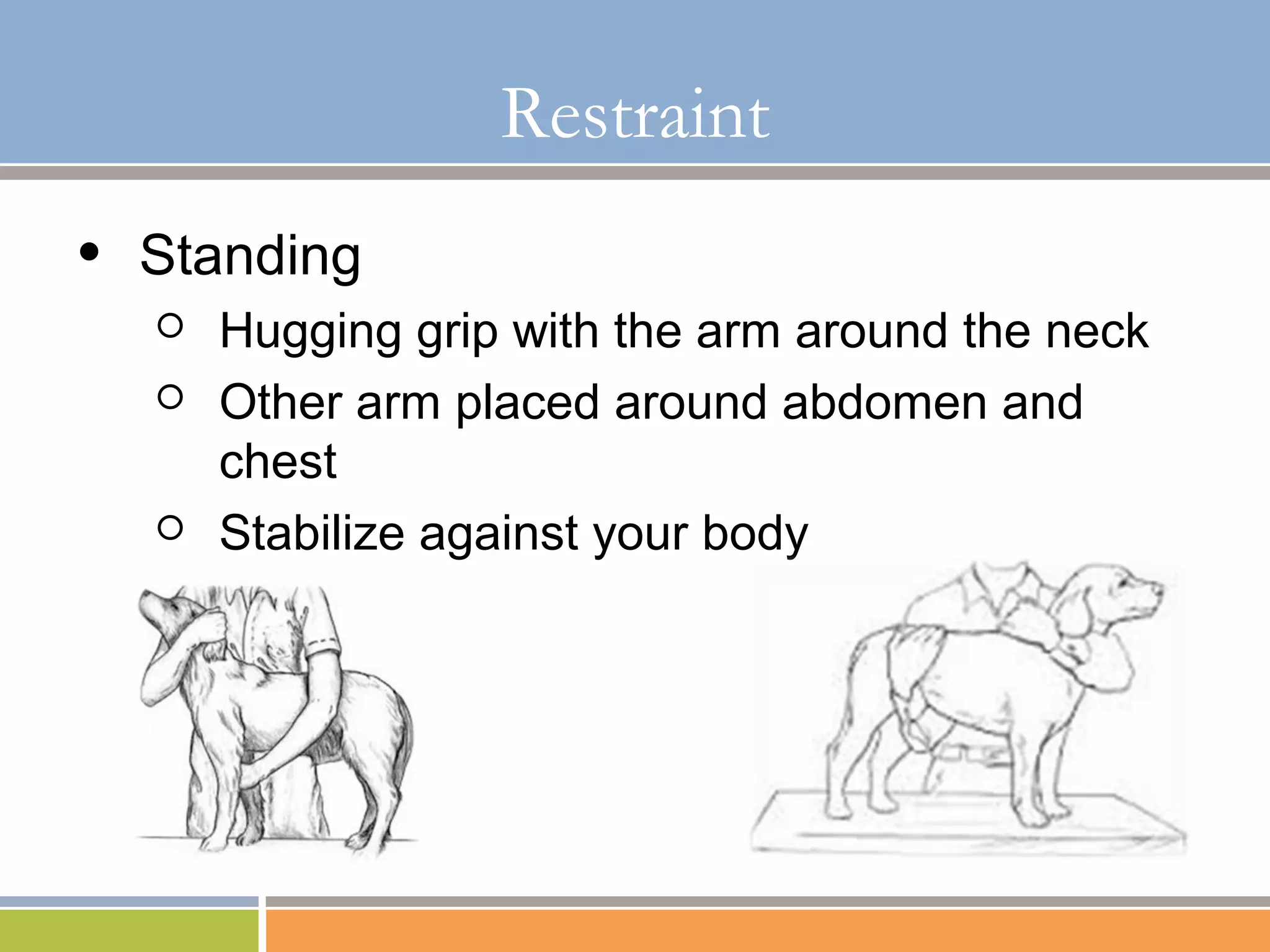 Basic Restraint and Understanding of Aggression in Dogs | PPT