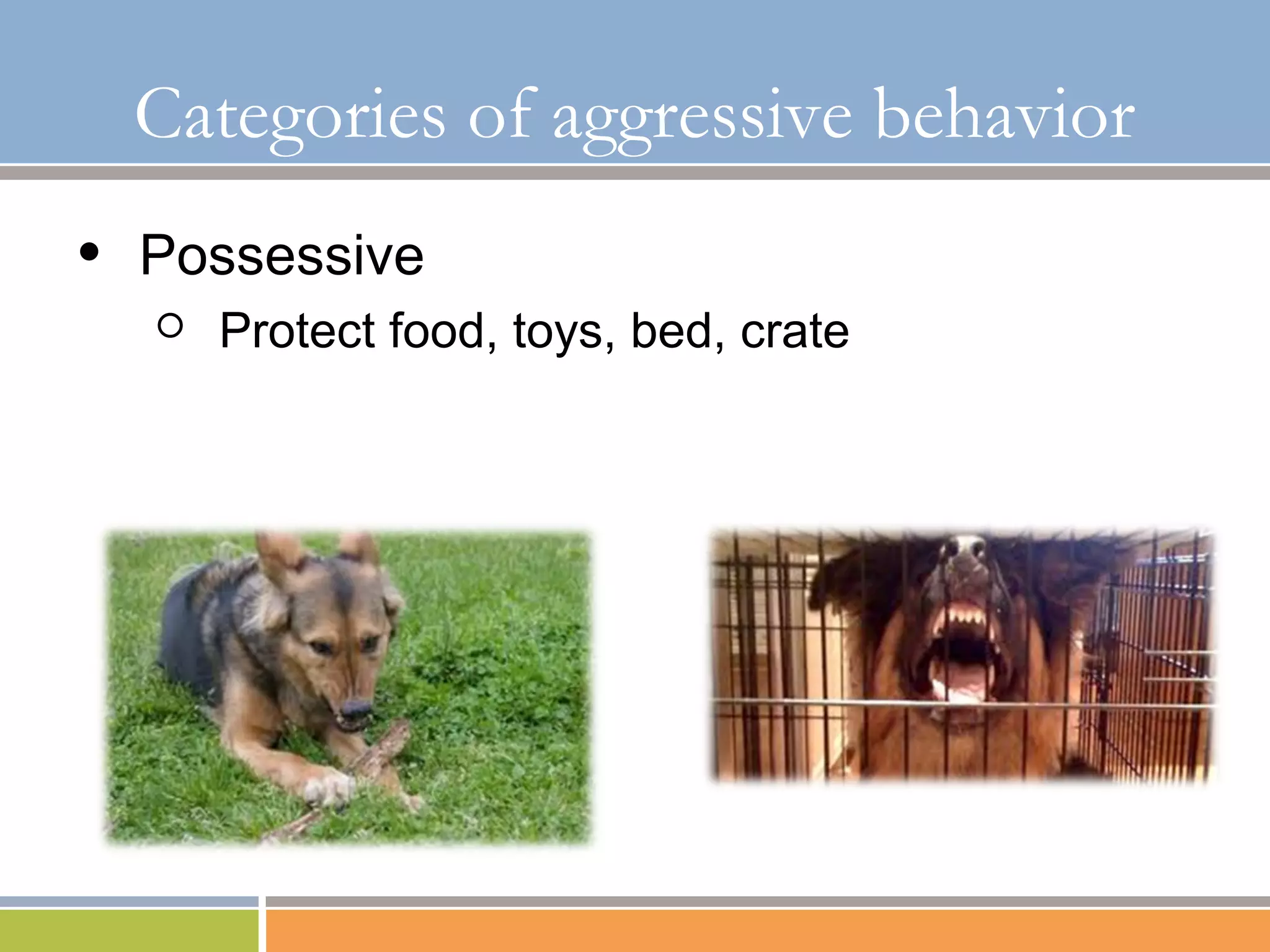 Basic Restraint and Understanding of Aggression in Dogs | PPT