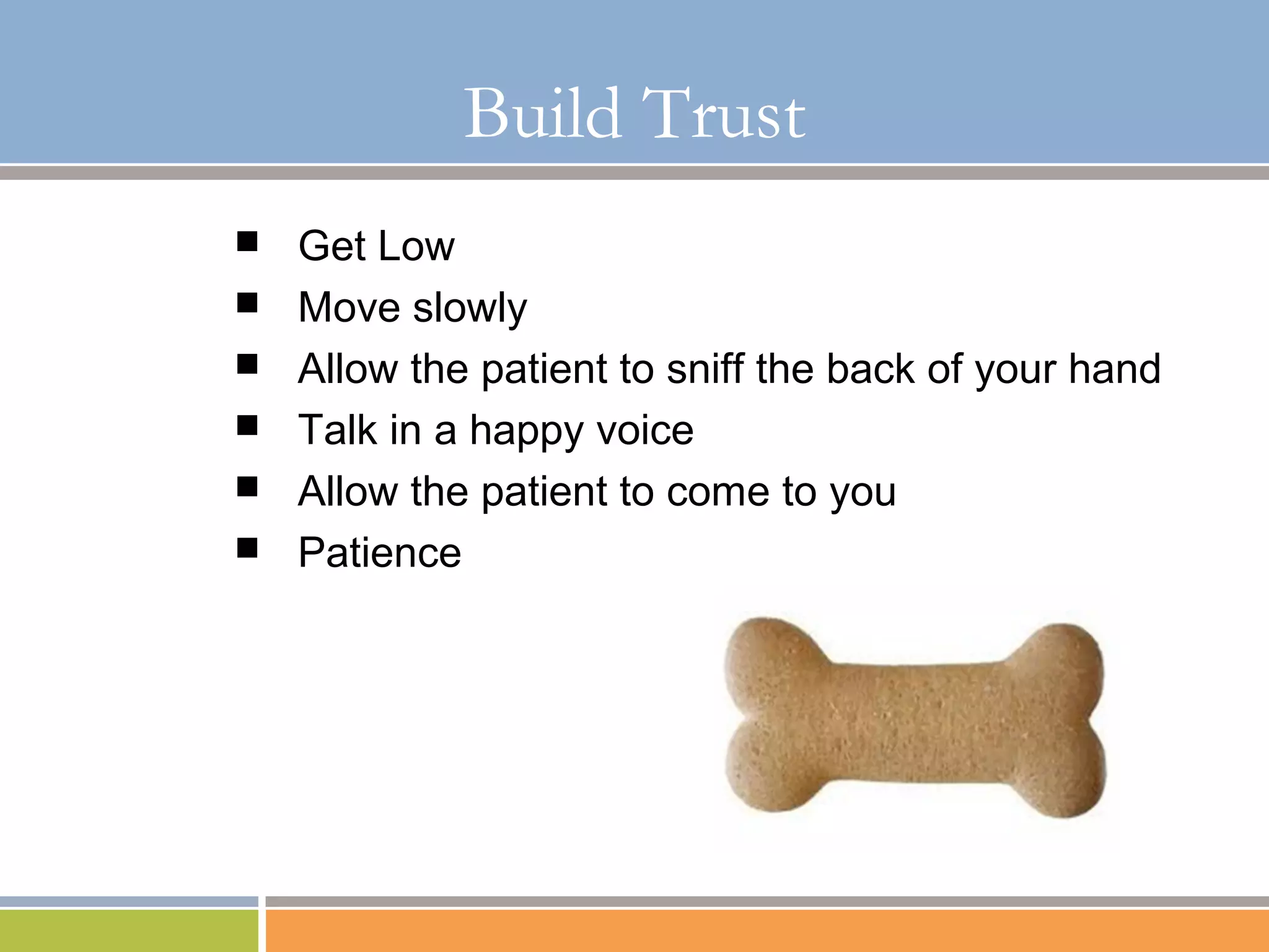 Basic Restraint and Understanding of Aggression in Dogs | PPT