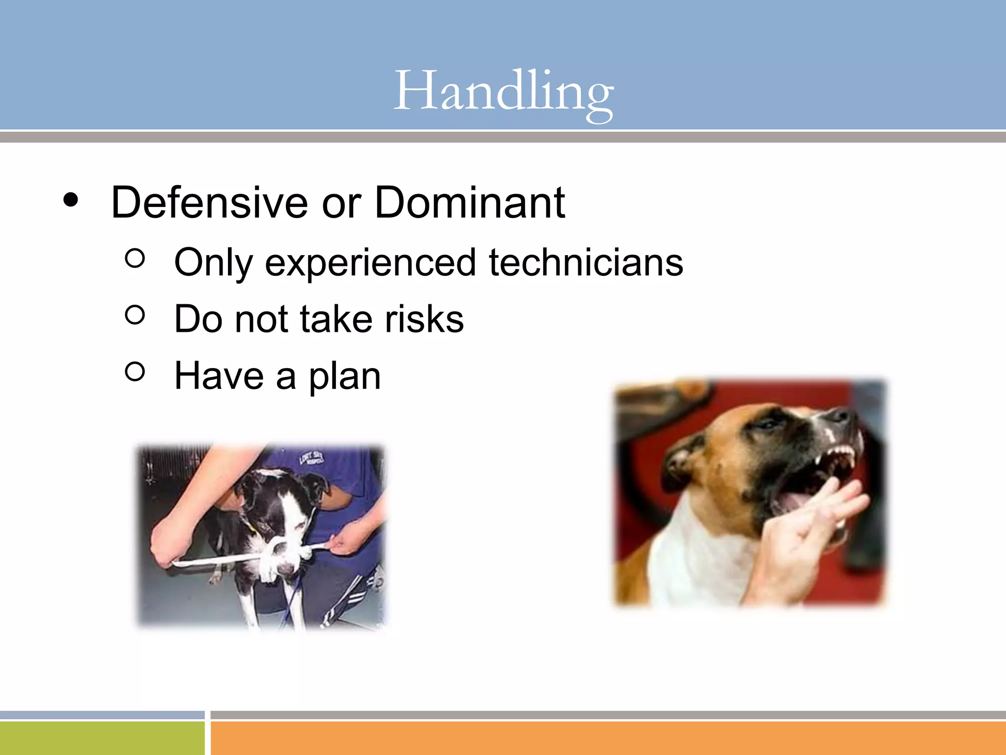 Basic Restraint and Understanding of Aggression in Dogs | PPT