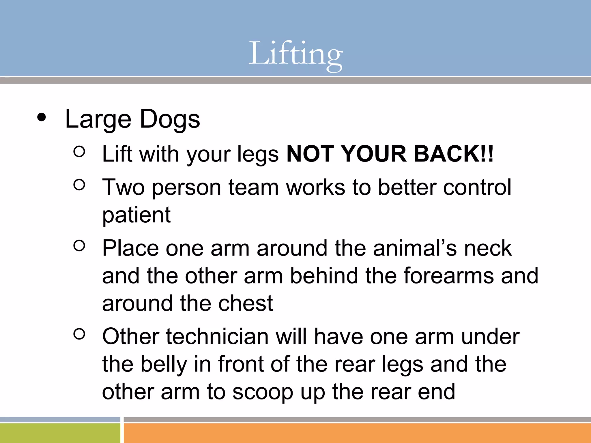 Basic Restraint and Understanding of Aggression in Dogs | PPT