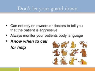 Basic Restraint and Understanding of Aggression in Dogs | PPT