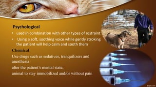 Basic rope work & restraining of animals | PPTX