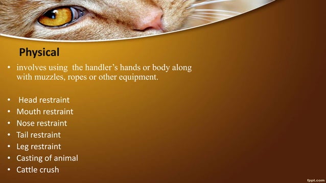 Basic rope work & restraining of animals | PPTX