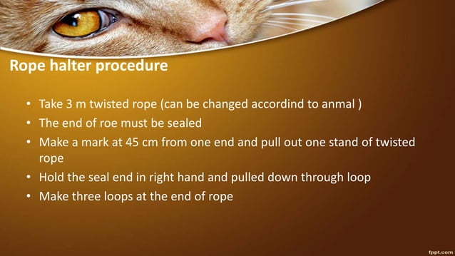 Basic rope work & restraining of animals | PPTX