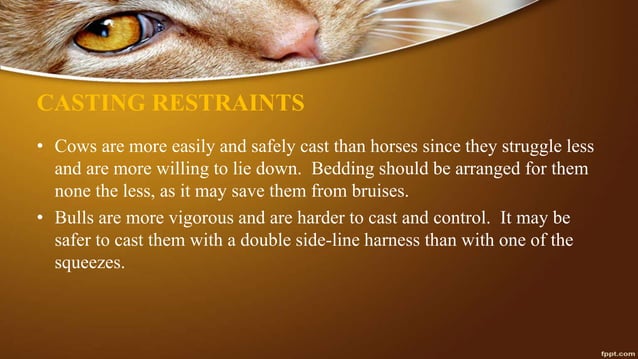 Basic rope work & restraining of animals | PPTX