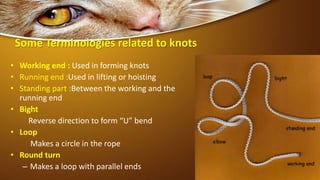 Basic rope work & restraining of animals | PPTX