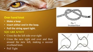 Basic rope work & restraining of animals | PPTX