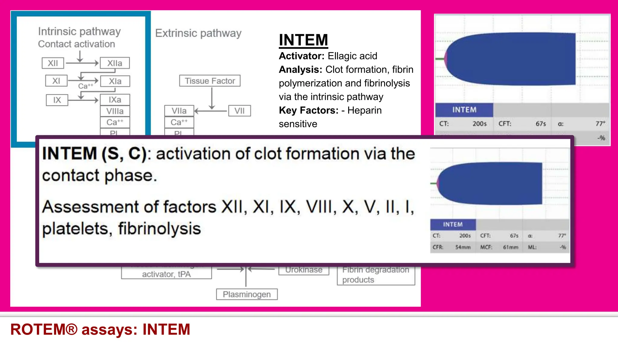 Basic Rotational ThromboelastometryROTEM | PPTX