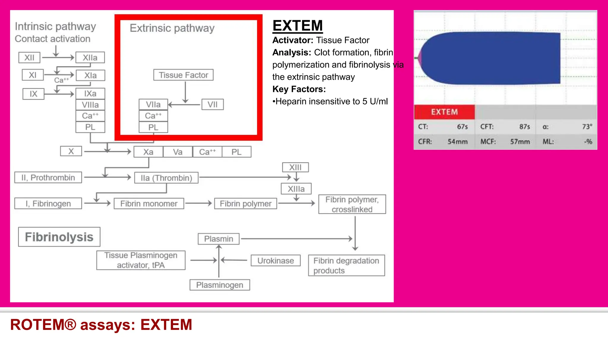 Basic Rotational ThromboelastometryROTEM | PPTX