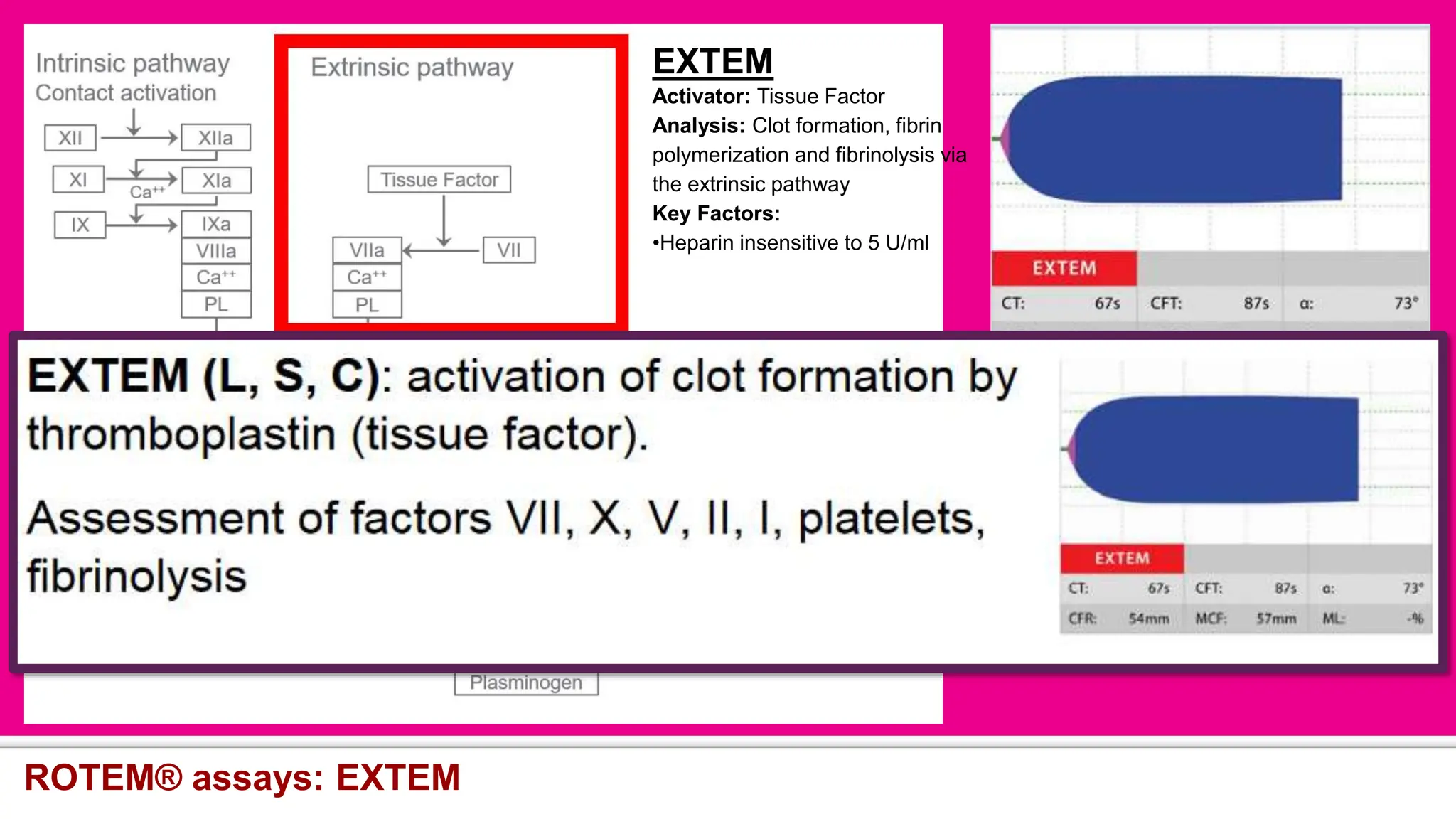 Basic Rotational ThromboelastometryROTEM | PPTX