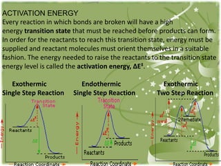 Basic rxns in org chem | PPTX