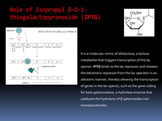 Basics of protein biochemistry | PPTX