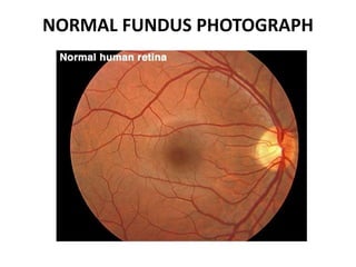 Basics anatomy dr.kurinchi -07.07.16