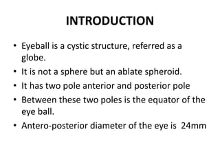 Basics anatomy dr.kurinchi -07.07.16