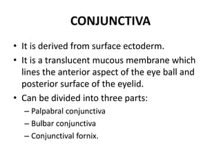 Basics anatomy dr.kurinchi -07.07.16