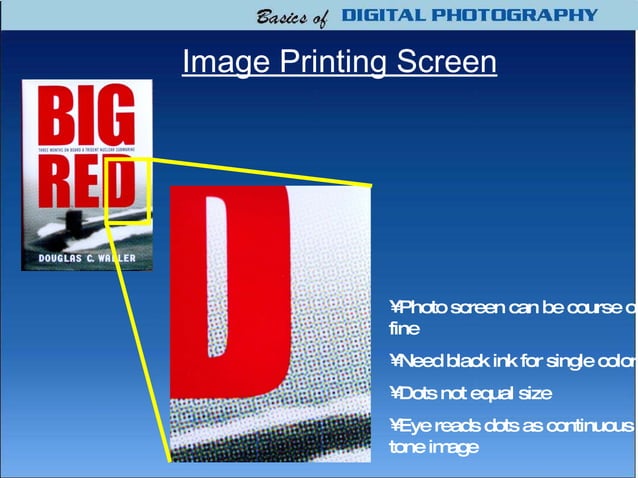 Basics Of Digital Photography | POT