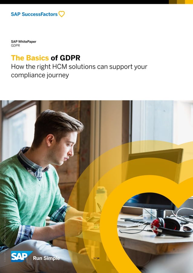 The Basics of GDPR | PDF | Business | Business and Finance