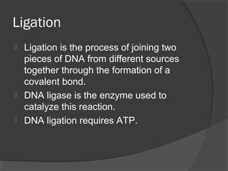 Basics of molecular cloning | PPT