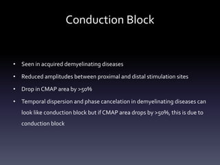 ncs study - basics of nerve conduction study | PPTX