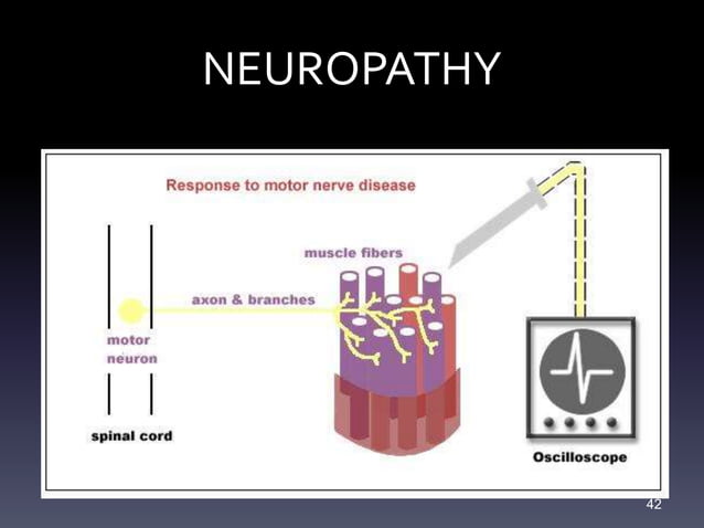 ncs study - basics of nerve conduction study | PPTX | Brain and Nervous ...
