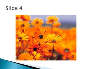 Basics of PowerPoint | PPT