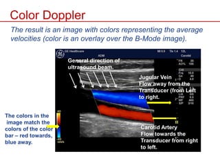 Primary Care Ultrasound | PPT