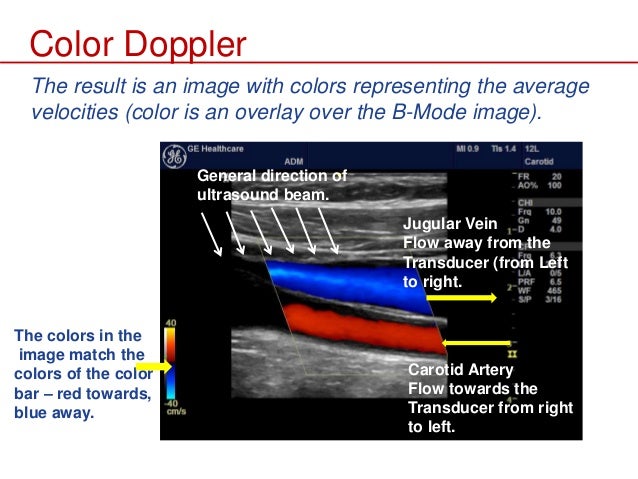 Primary Care Ultrasound