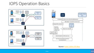 Beginners: Network In a Box (NIB) | PDF