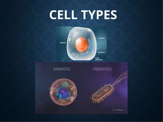 Basics about Cell types and Cell Theory ppt.pptx