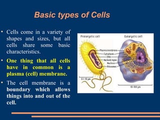 Basics about Cell types and Cell Theory ppt.pptx