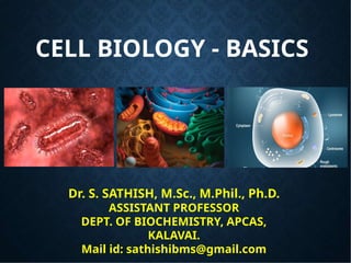 Basics about Cell types and Cell Theory ppt.pptx