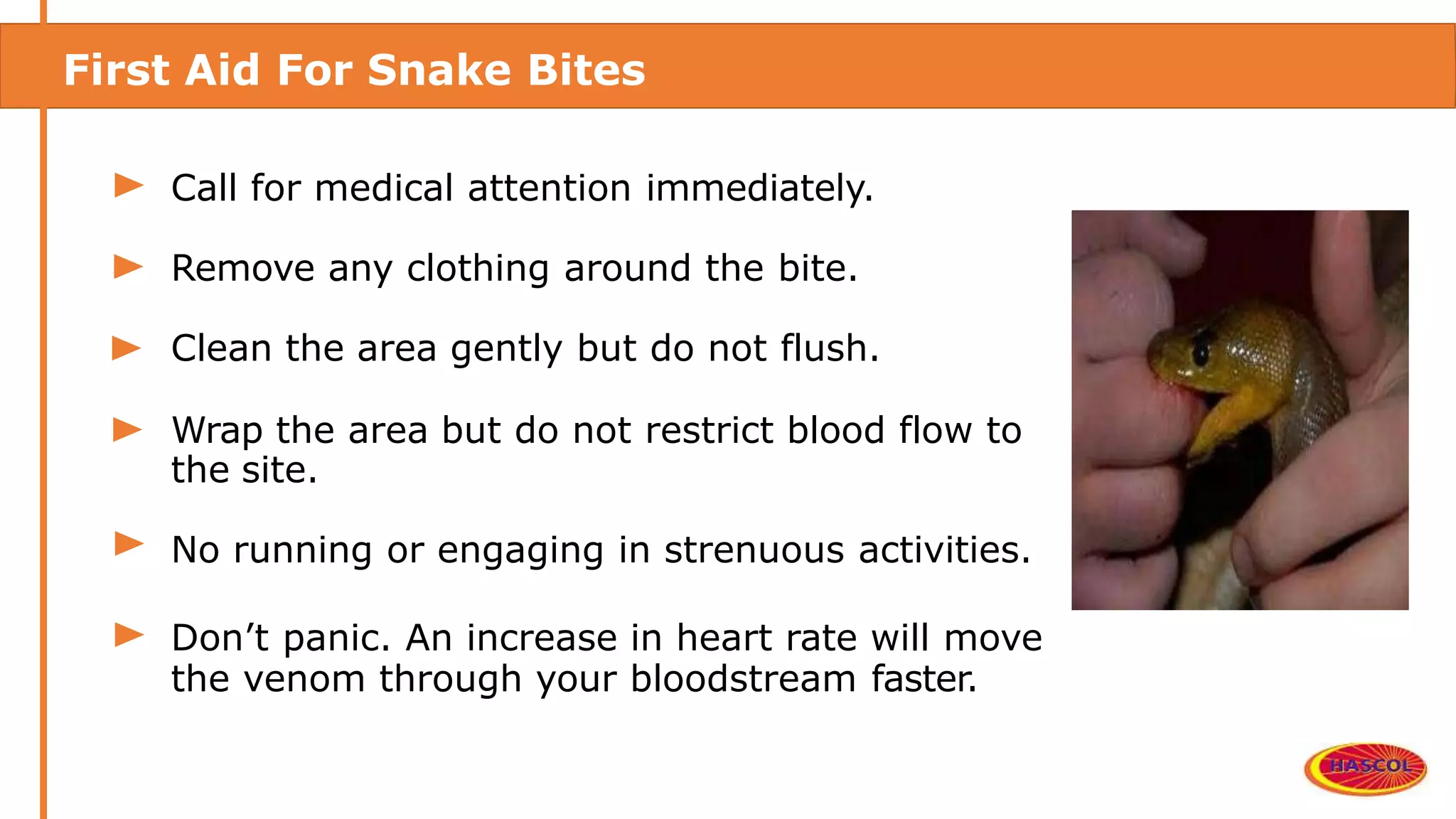 Basic safety against snake bite at work place | PPTX
