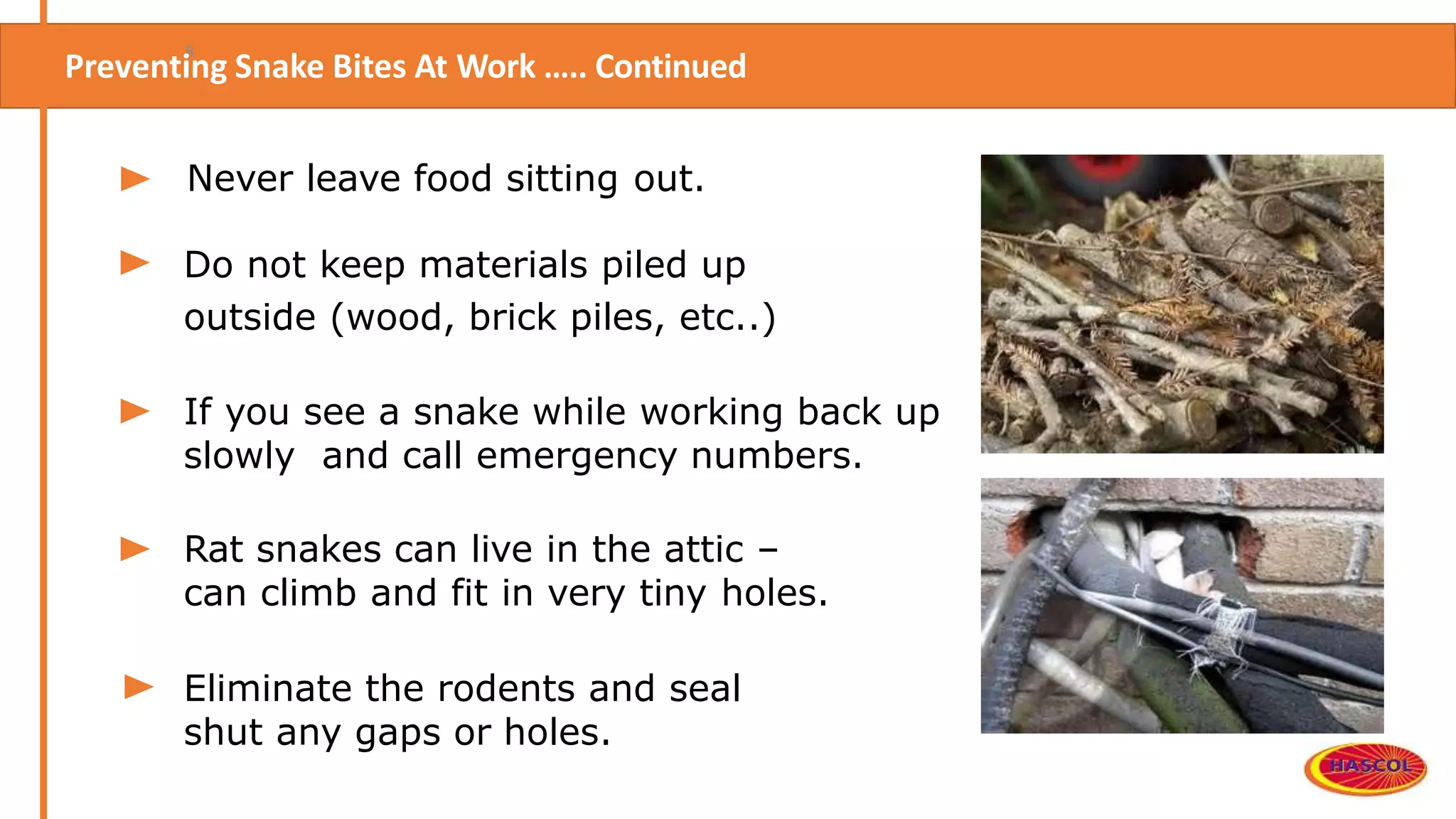 Basic safety against snake bite at work place | PPTX