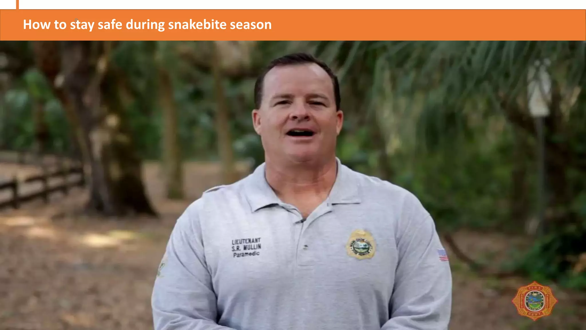 Basic safety against snake bite at work place | PPTX