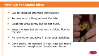 Basic safety against snake bite at work place | PPTX