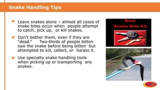 Basic safety against snake bite at work place | PPTX