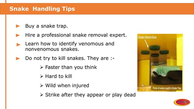 Basic safety against snake bite at work place | PPTX | First Aid | Injuries