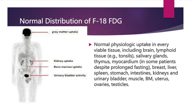 Basics and principles of PET.pptx